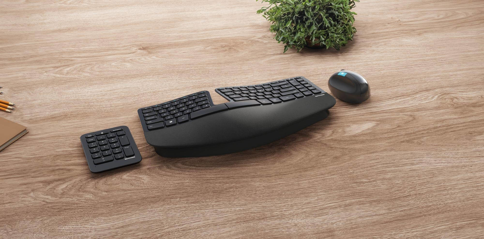 Incase | Designed by Microsoft | Sculpt Ergonomic Desktop (Tastatur ...